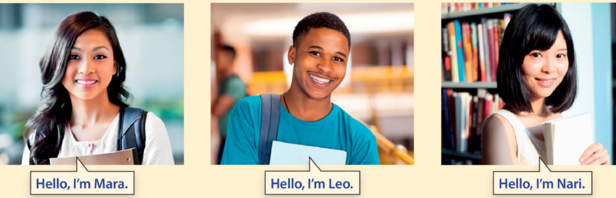 Beginner 1 المستوى — safa academy app