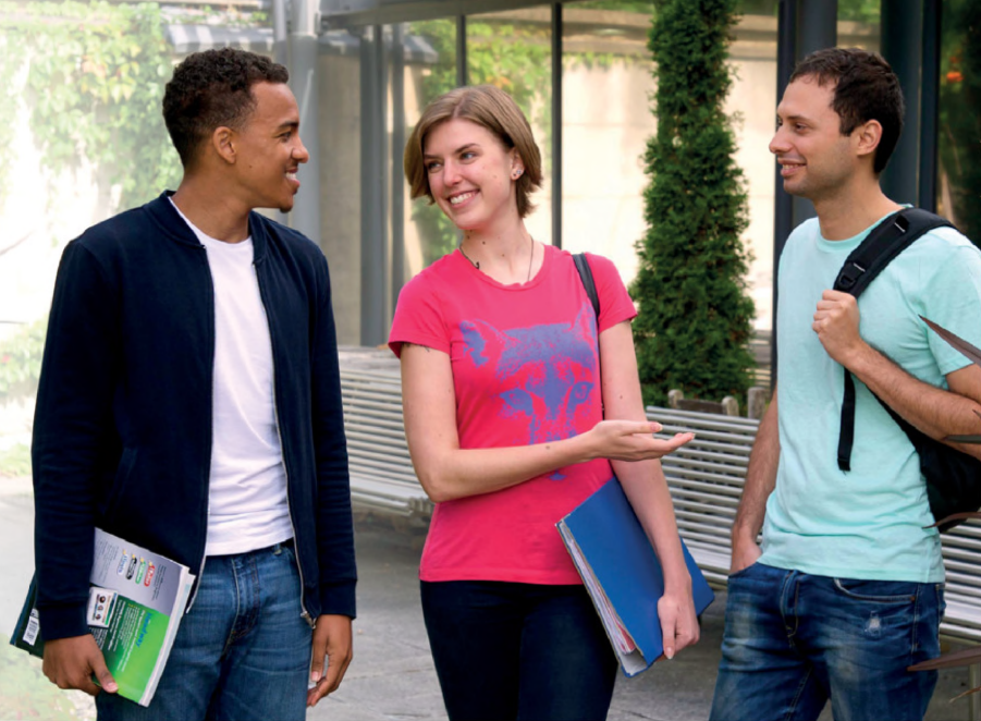 Beginner 1 المستوى — safa academy app