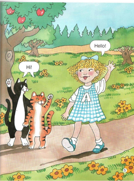 Starter المستوى 0 — safa academy app