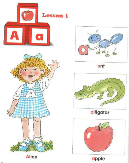 Starter المستوى 0 — safa academy app