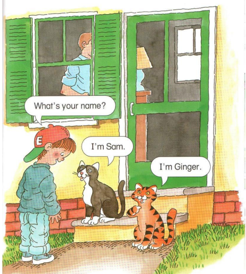 Starter المستوى 0 — safa academy app